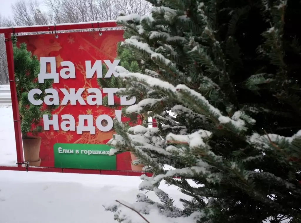 С 1 декабря в Ростове откроют 30 елочных базаров » DonDay - новости Ростова-на-Дону ...