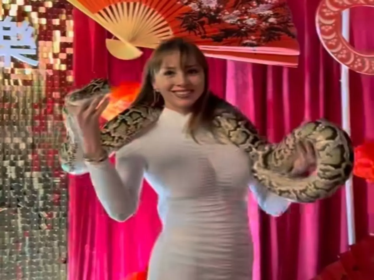 Полина Диброва устроила фотосессию с символом 2025 года » DonDay