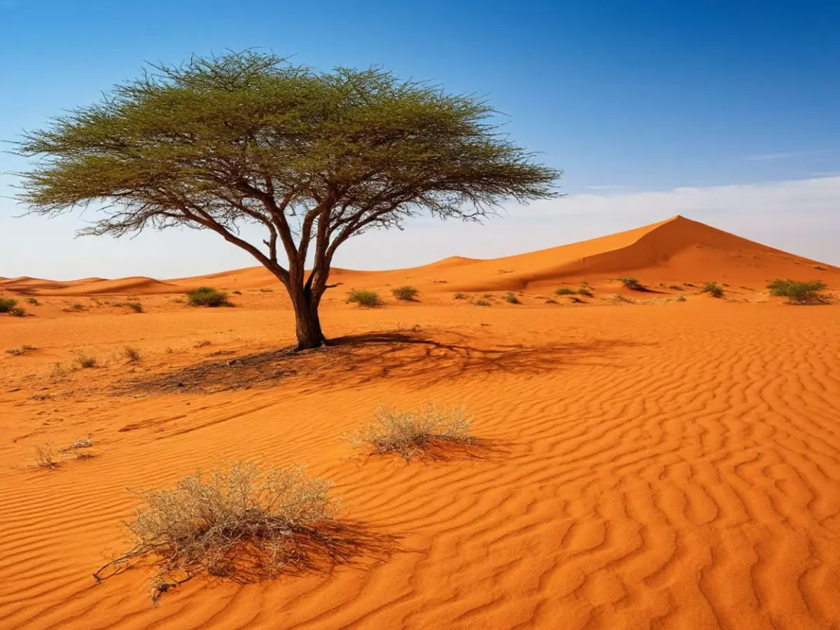 В Ростовской области 800 тысяч гектаров земель могут превратиться в пустыню » DonDay