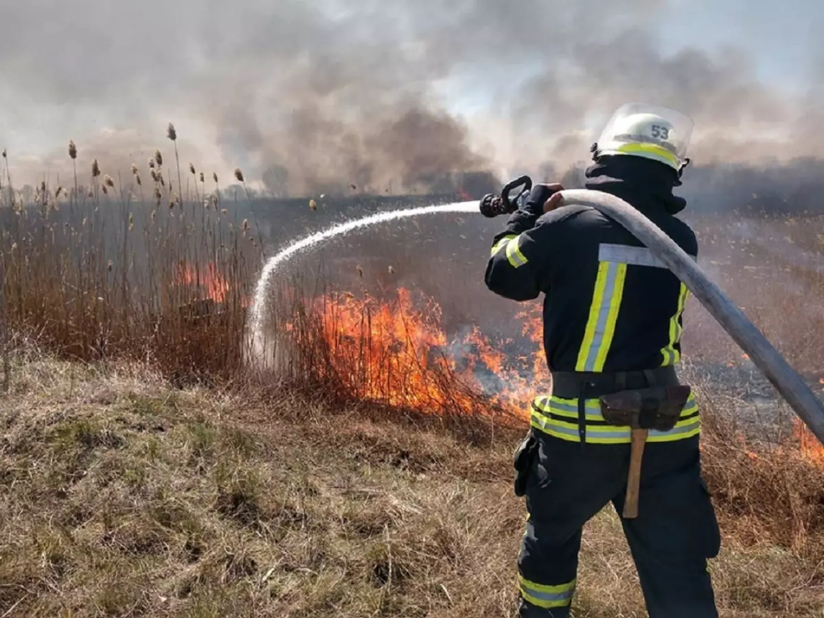 В Ростовской области объявили штормовое предупреждение из-за пожароопасности » DonDay