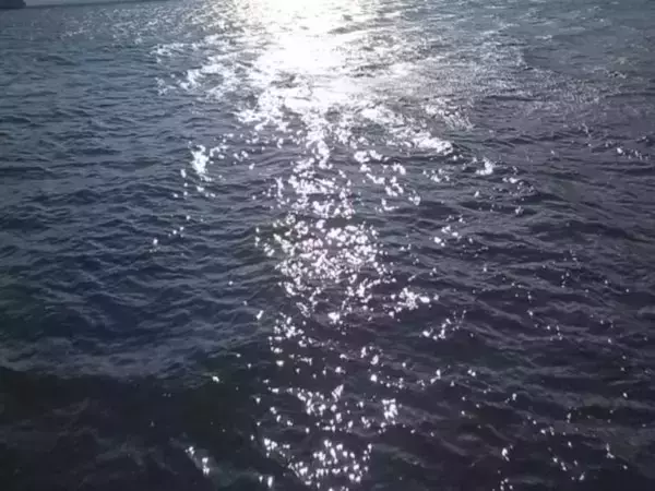 За сутки 6 июля в Ростовской области на водоемах погибли два человека ...