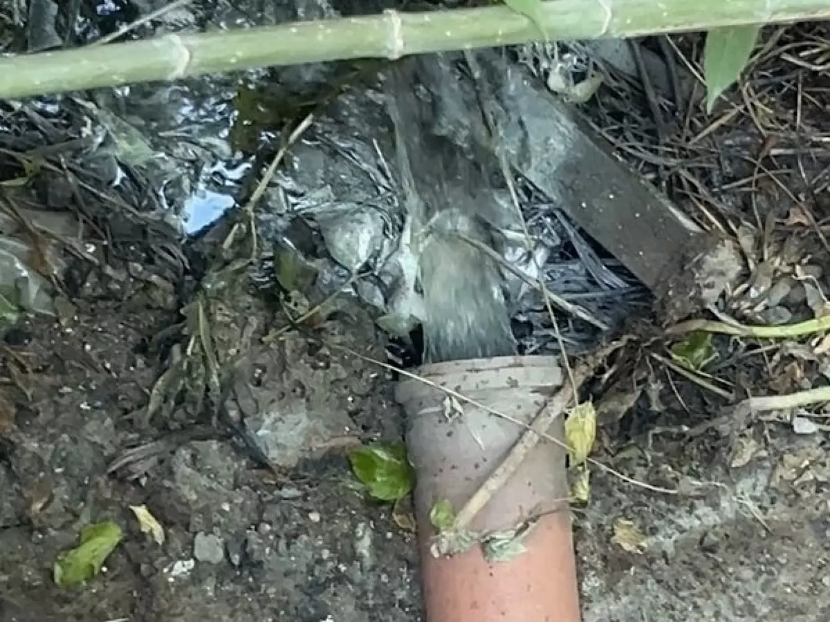 В Батайске вновь зафиксировали слив нечистот в ручей Быстрый » DonDay