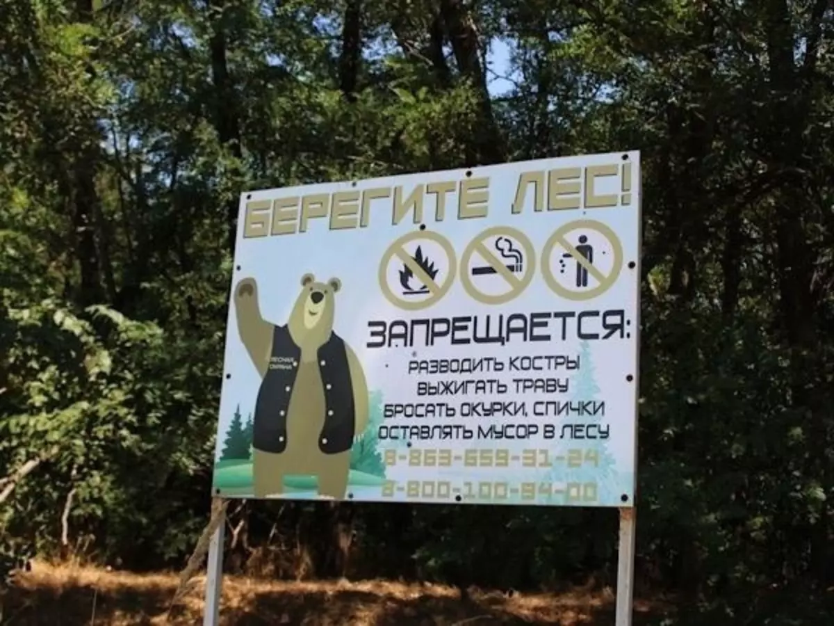 На уборку лесов в Ростове потратят почти 1,2 миллиона рублей » DonDay