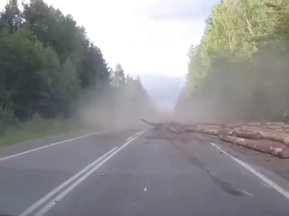 Пункт назначения: на Урале из прицепа на дорогу вывалились бревна » DonDay