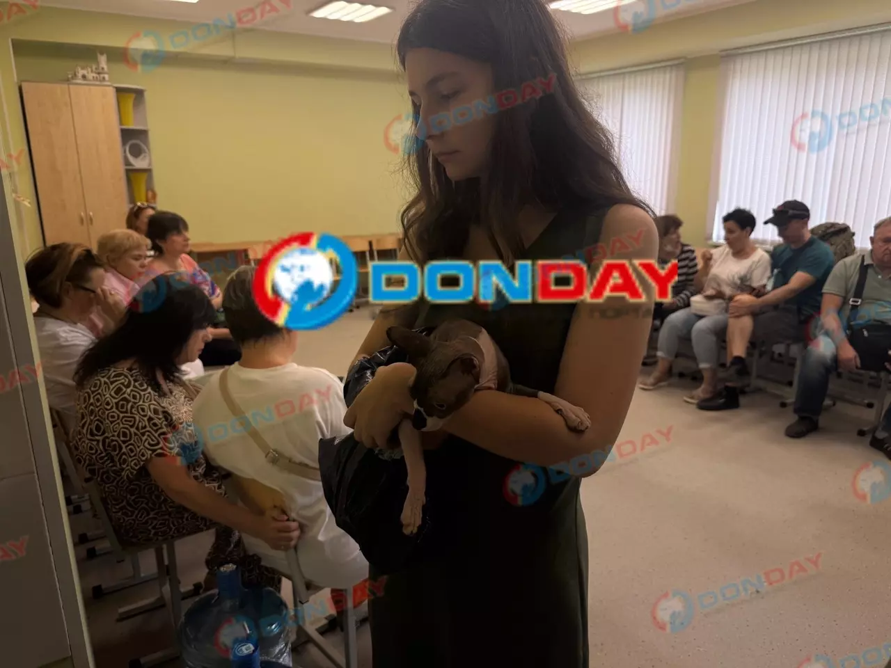 Схватили животных и побежали: ростовчане рассказали, как спасали питомцев после атаки БПЛА » DonDay